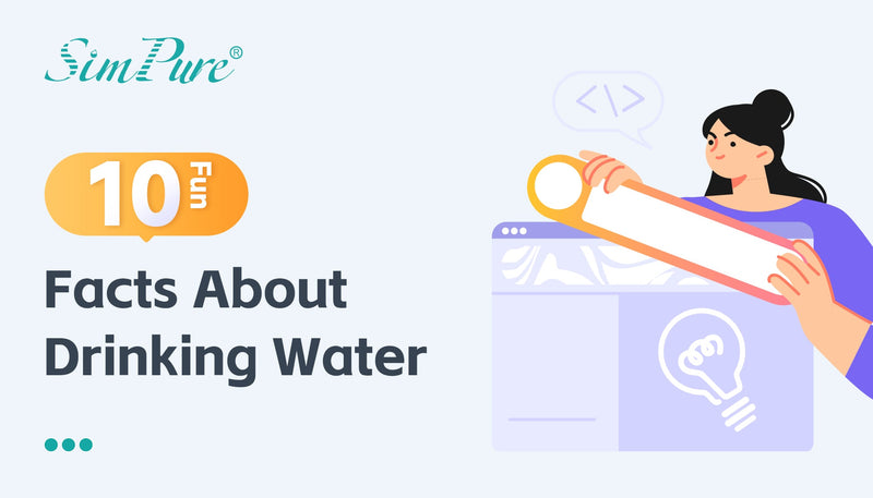10 Fun Facts About Drinking Water - Unveil the Mysteries