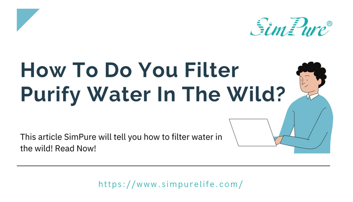 How To Do You Filter Purify Water In The Wild?