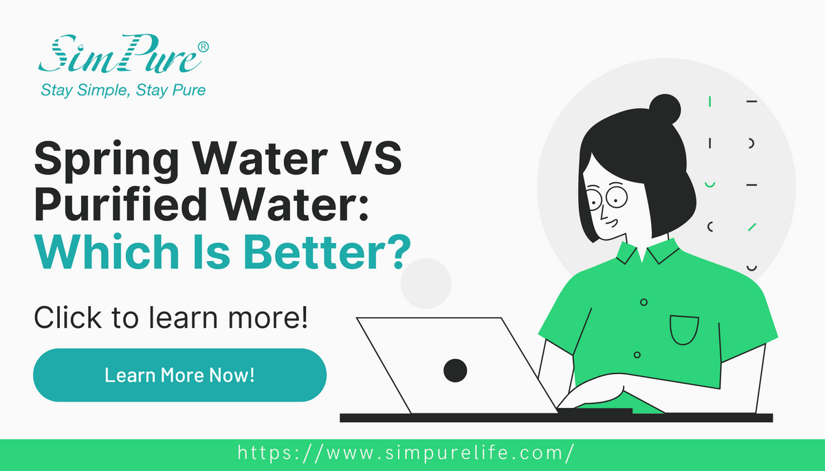 Natural Spring Water VS Purified Water: Which Is Better?