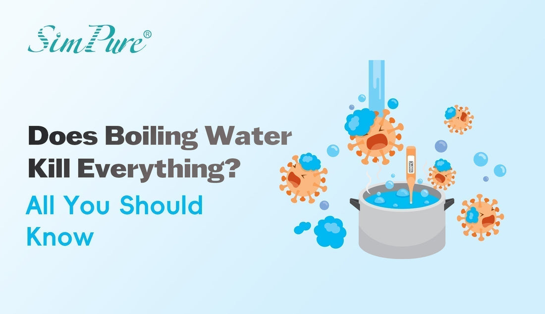 Does Boiling Water Kill Everything? The Truth About Boiling vs. Filtra