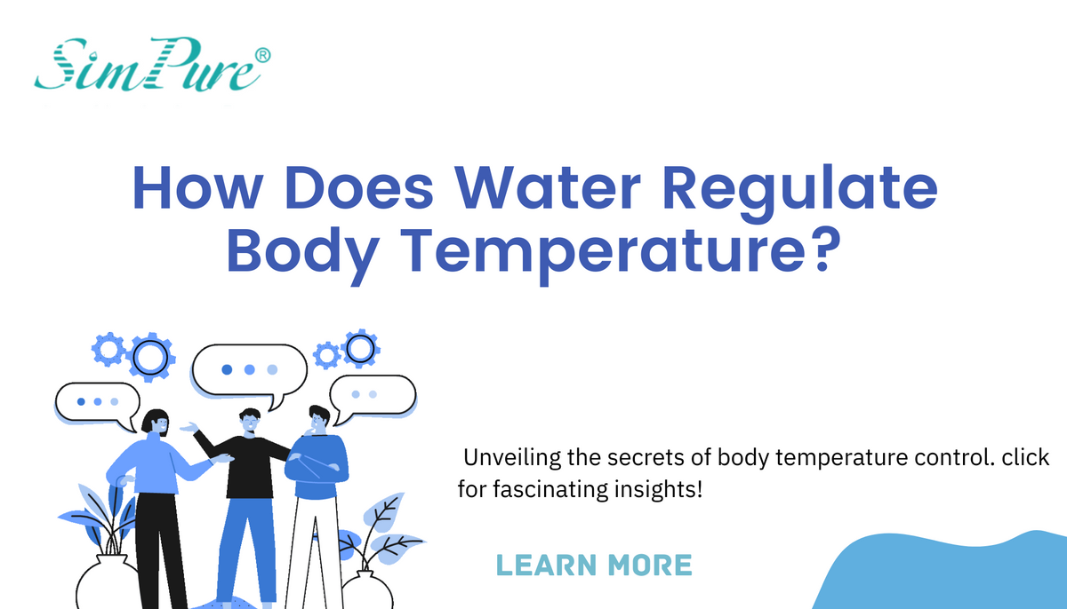 How Does Water Regulate Body Temperature?