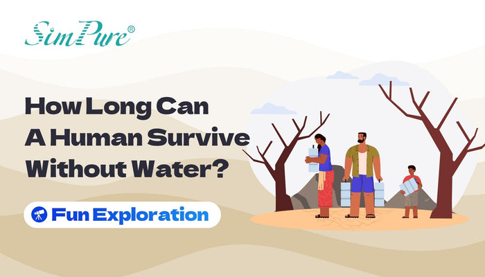 How Long Can A Human Survive Without Water? Fun Exploration