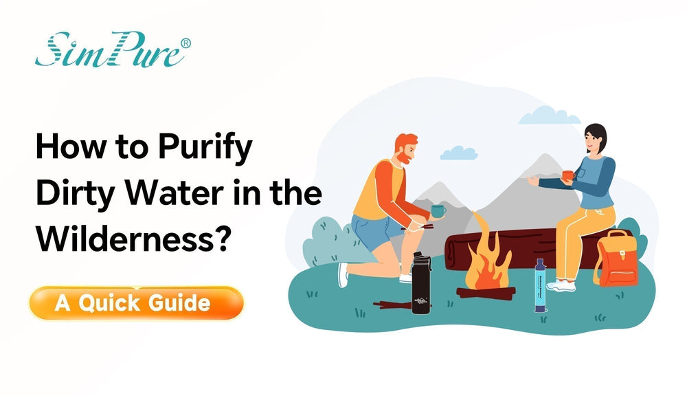 How to Purify Dirty Water in the Wilderness?