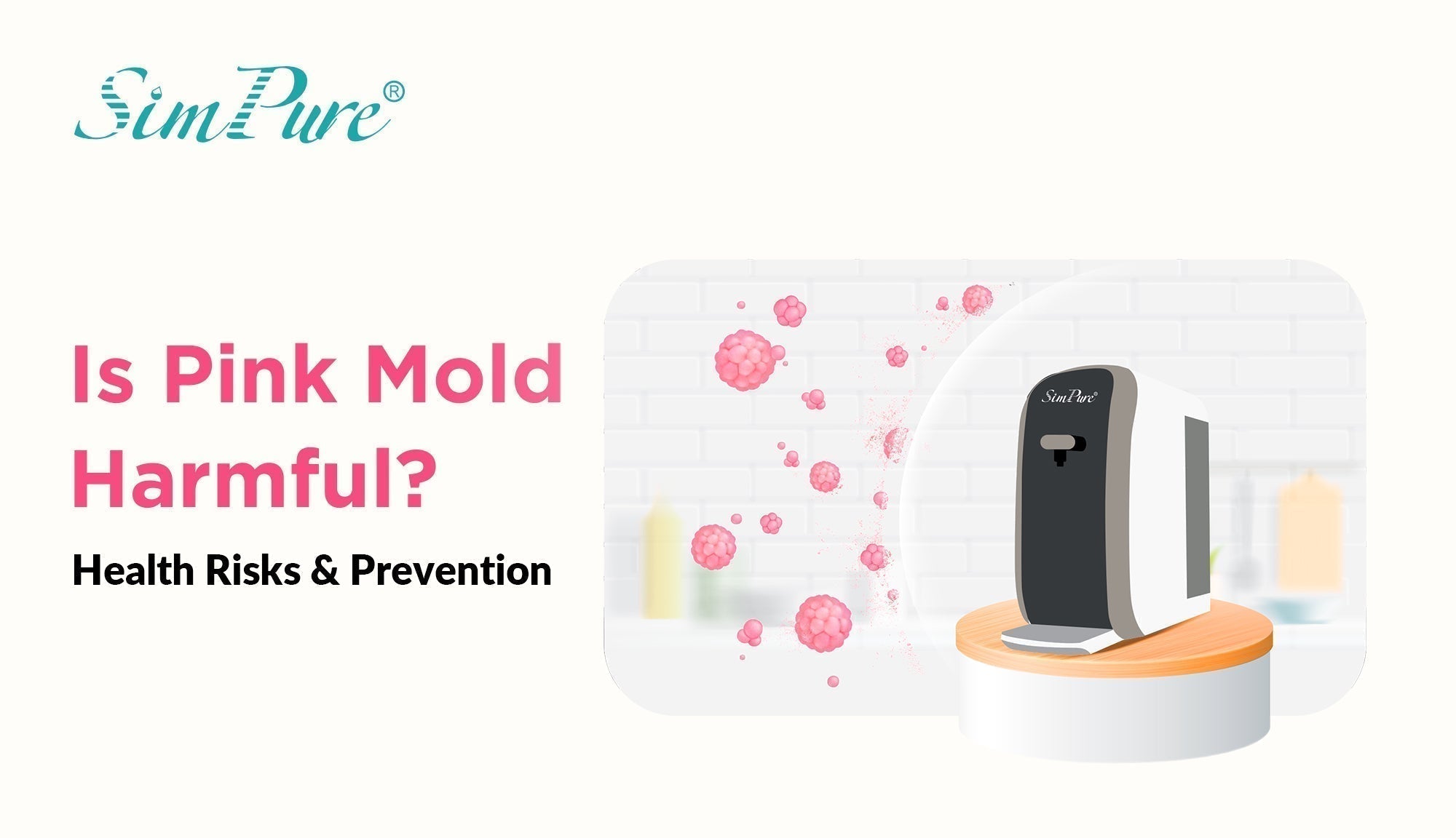 Is Pink Mold Harmful? Health Risks & Prevention