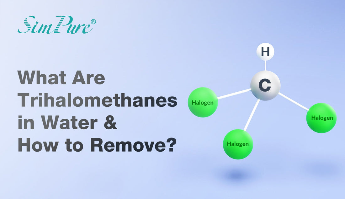 What Are Trihalomethanes in Water & How to Remove?