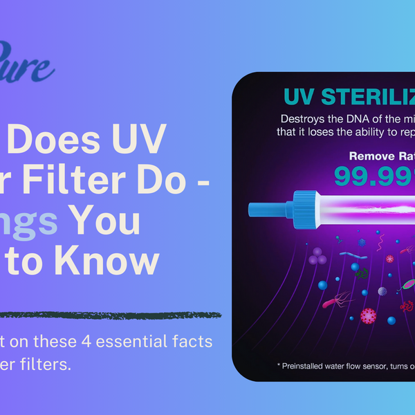 how does a uv sterilizer work