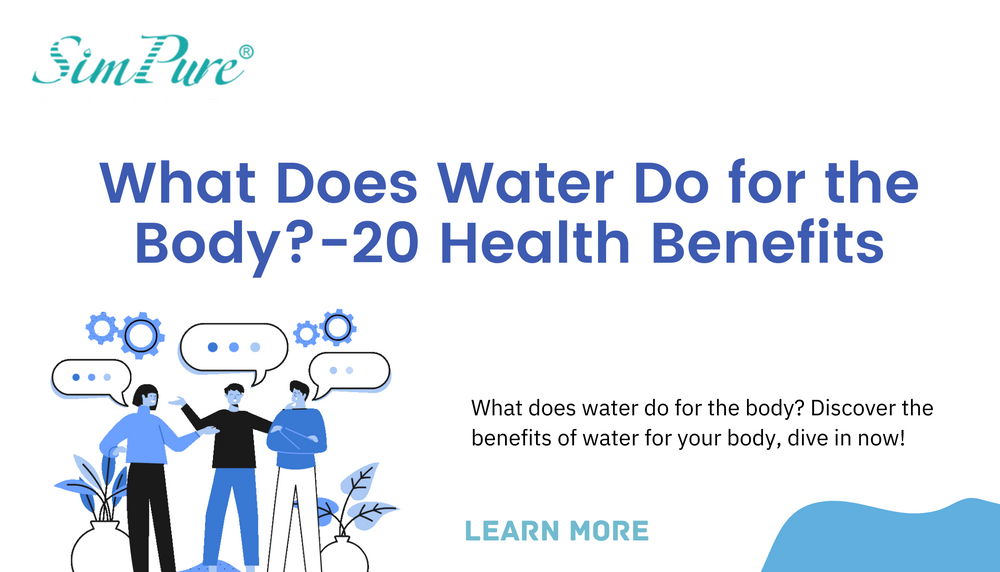 What Does Water Do for the Body?-20 Health Benefits