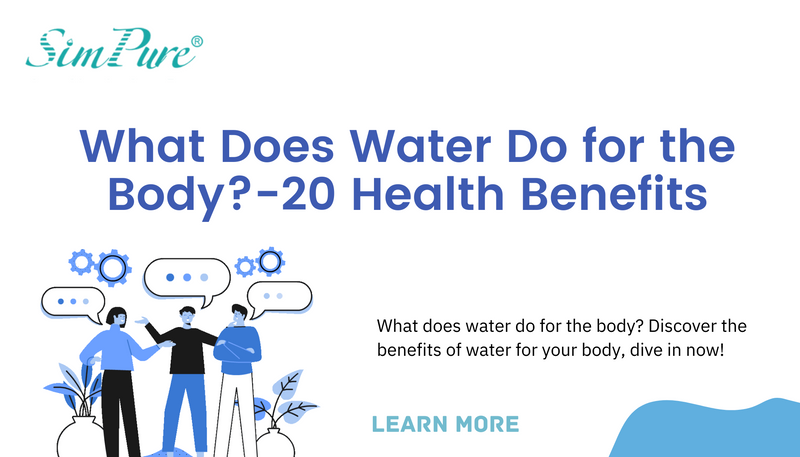 What Does Water Do for the Body?-20 Health Benefits