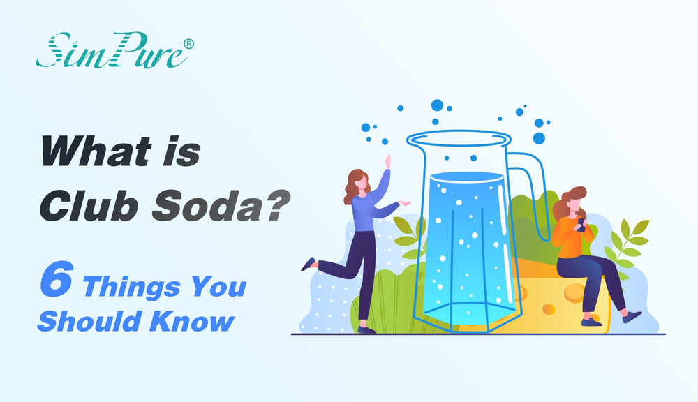 What is Club Soda? 6 Things You Should Know