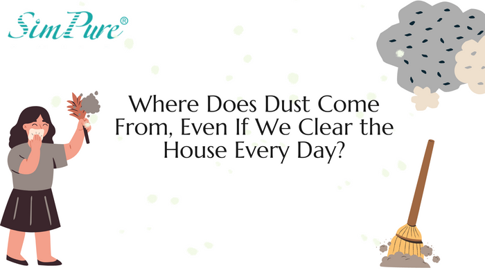 Where Does Dust Come From, Even If We Clear the House Every Day?