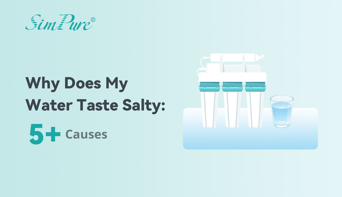 Why Does My Water Taste Salty: 5+ Situations of Salty Taste Water