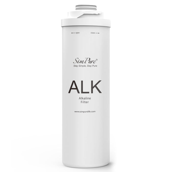 SimPure T1-400 T33 Filter Replacement Cartridge (6 Months+)